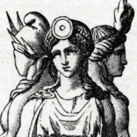 Bodies / Bags – Order of The Toothless Crone